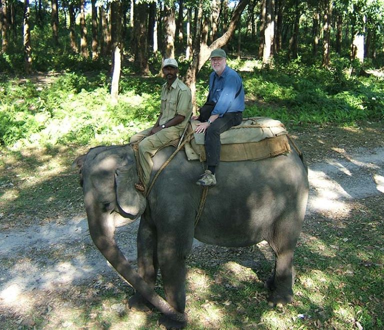 Hunting Tigers in India - Robert Scheer's Blog